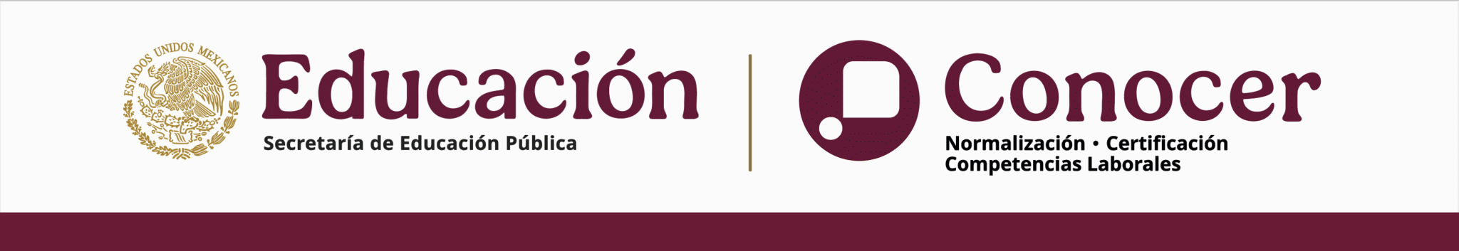 CONOCER México – Certificación Por Competencias Laborales Oficiales